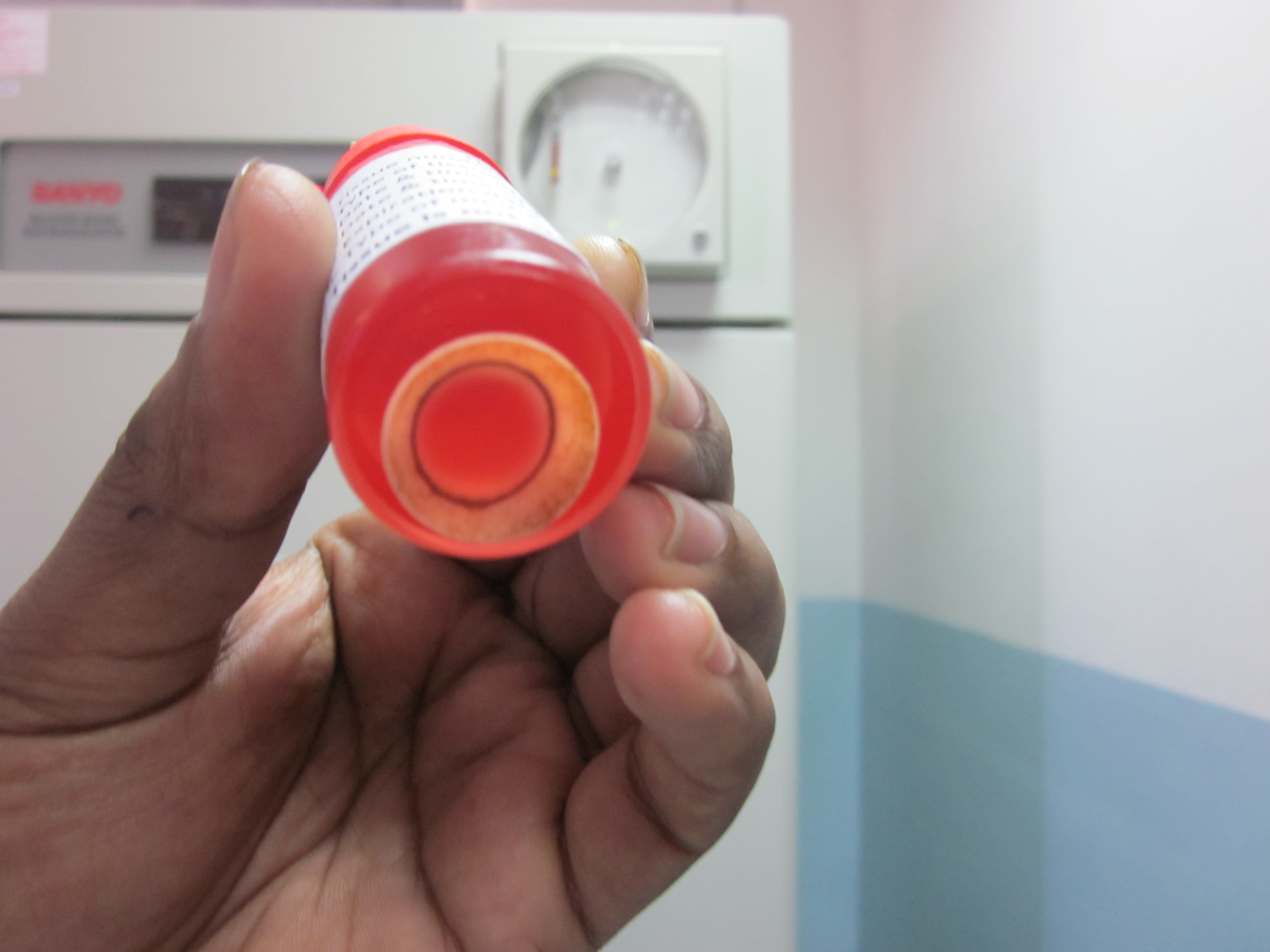 Ross Velton | Reporter, Journalist, Filmmaker